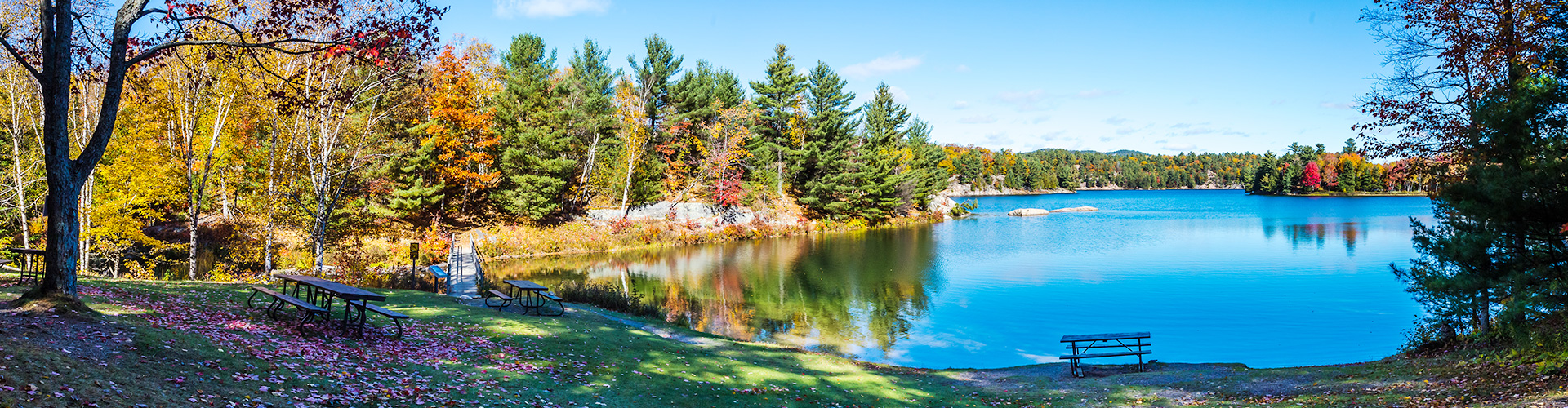 Adam Boyle CIBC Wood Gundy