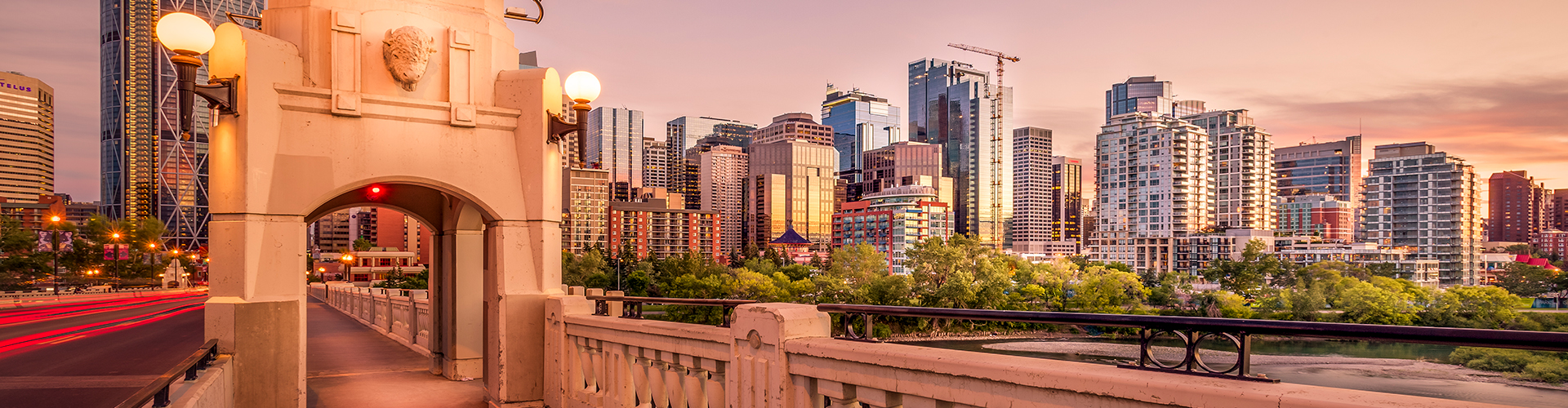 Muzammil Dandia - Home