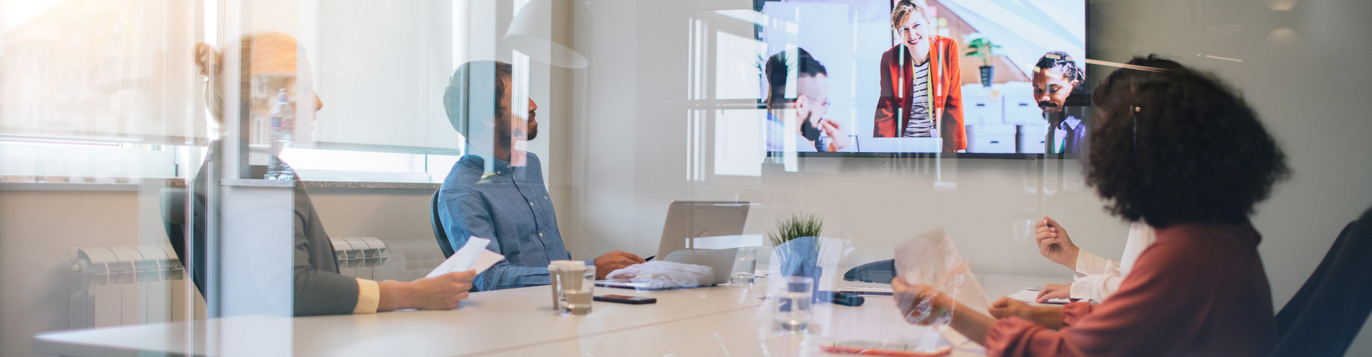 Webster Collins Group - Services