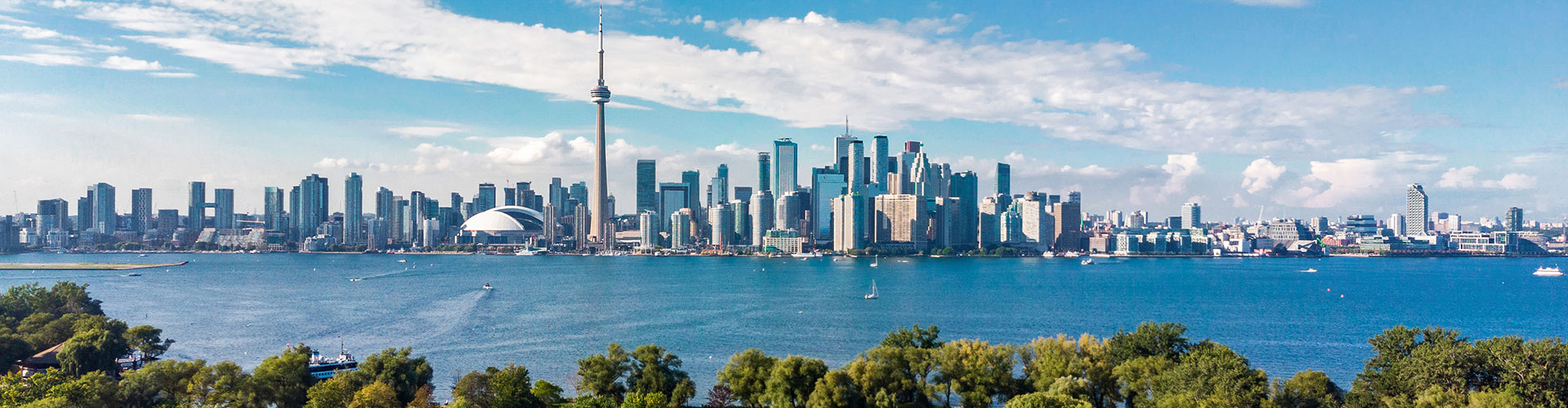 Robyn Meredith - Home