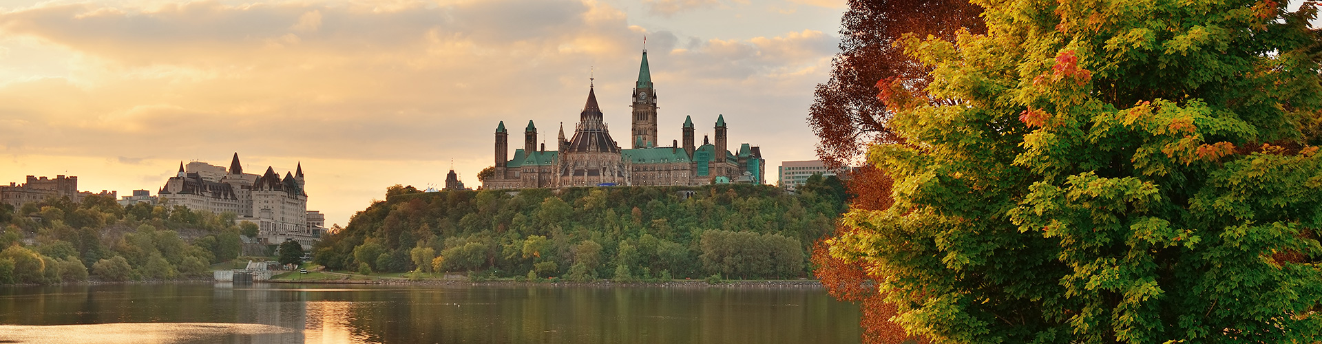 Kimba Maclean - Home