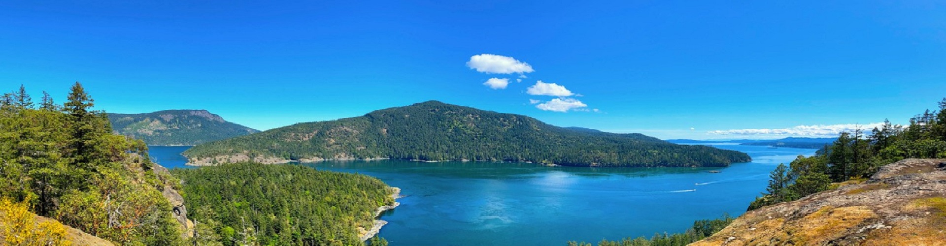 William Hardy - Home