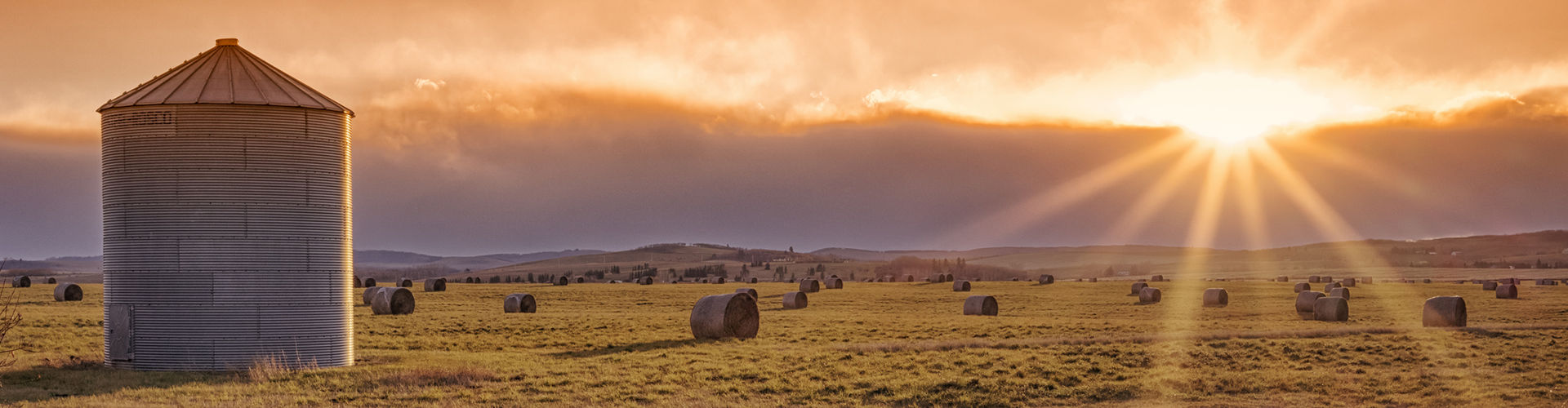 Kelly Husky - Investment Planning