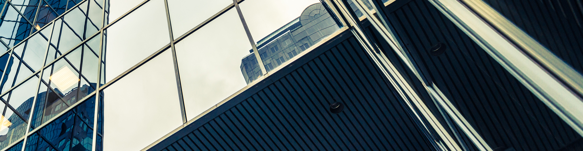 Ian Shipp - About Wood Gundy